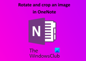 如何在 Microsoft OneNote 中旋转和裁剪图片 - Tech Club