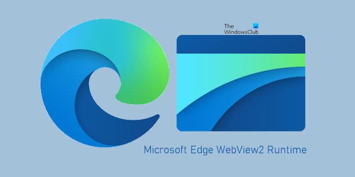 什么是 Microsoft Edge WebView2 运行时？ MS EDGE WEBVIEW2.EXE 安全吗？ - Tech Club