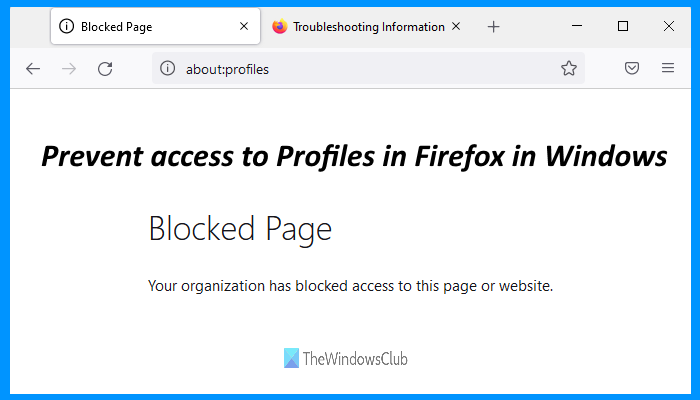 如何在 Windows 11/10 中禁用对 Firefox 中配置文件的访问