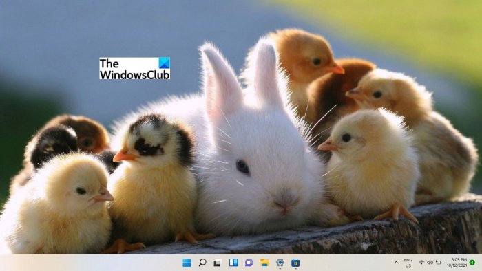 可从 Microsoft Store 下载的最佳免费 Windows 11 主题和皮肤 - Tech Club