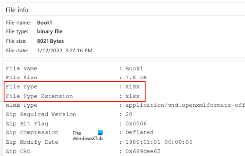 如何在Windows 11/10中打开没有扩展名的文件 - Tech Club