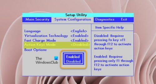 如何在 Windows 11/10 中锁定和解锁功能 (Fn) 键 - Tech Club