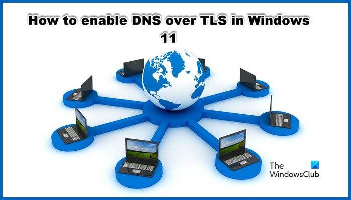 如何在 Windows 11 中启用 DNS over TLS - Tech Club