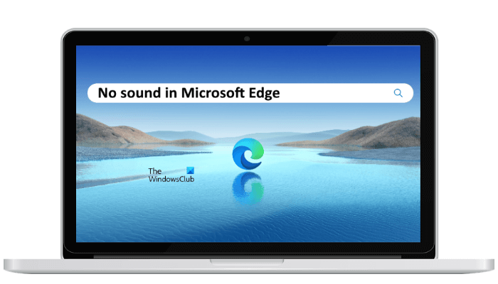 修复 Microsoft Edge 中没有声音的问题 - Tech Club