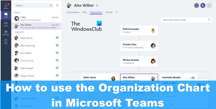 如何在 Microsoft Teams 中使用组织结构图 - Tech Club