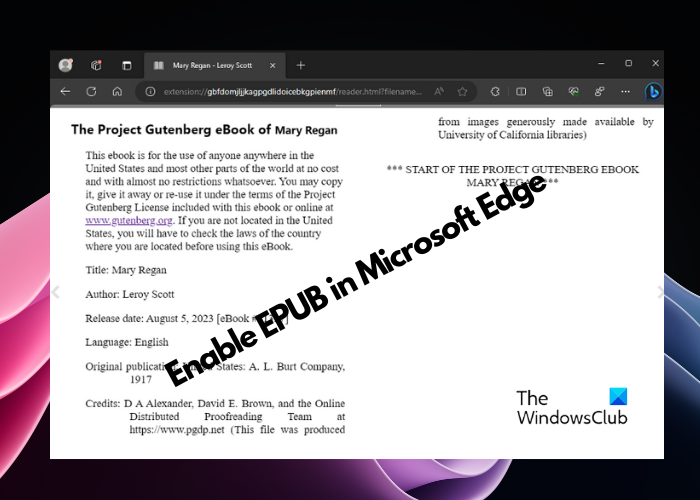如何在 Microsoft Edge 中启用 EPUB 支持 - Tech Club