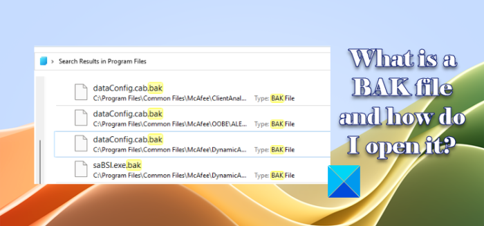 什么是 BAK 文件以及如何在 Windows 中打开它？ - Tech Club