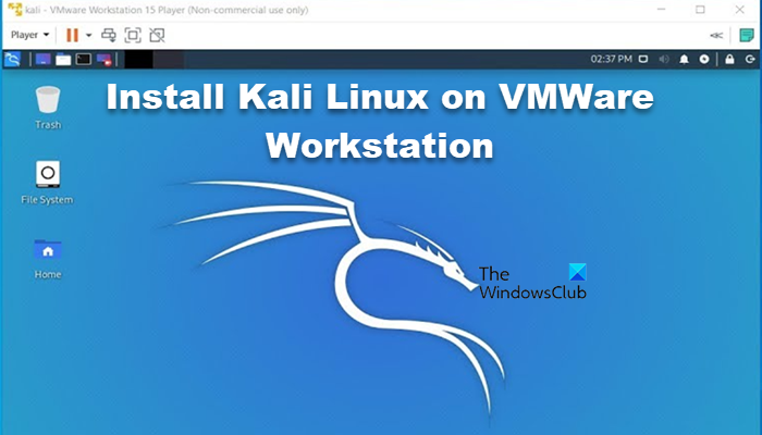 如何在 VMWare 工作站上安装 Kali Linux - Tech Club