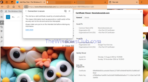ERR_SSL_KEY_USAGE_INCOMPATIBLE Chrome 或 Edge 错误 - Tech Club