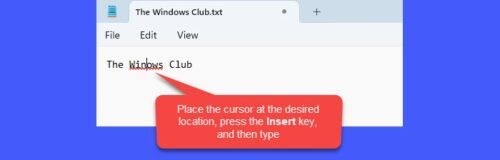 如何在 Windows 11 中的记事本中关闭 Overtype - Tech Club